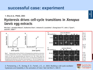 Computational techniques in mathematical modelling of biological ...