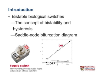 Computational techniques in mathematical modelling of biological ...
