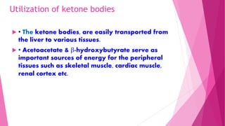 Ketoacidosis | PPTX