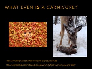 KetoCon 2017 Amber O'Hearn The Carnivorous Human | PDF