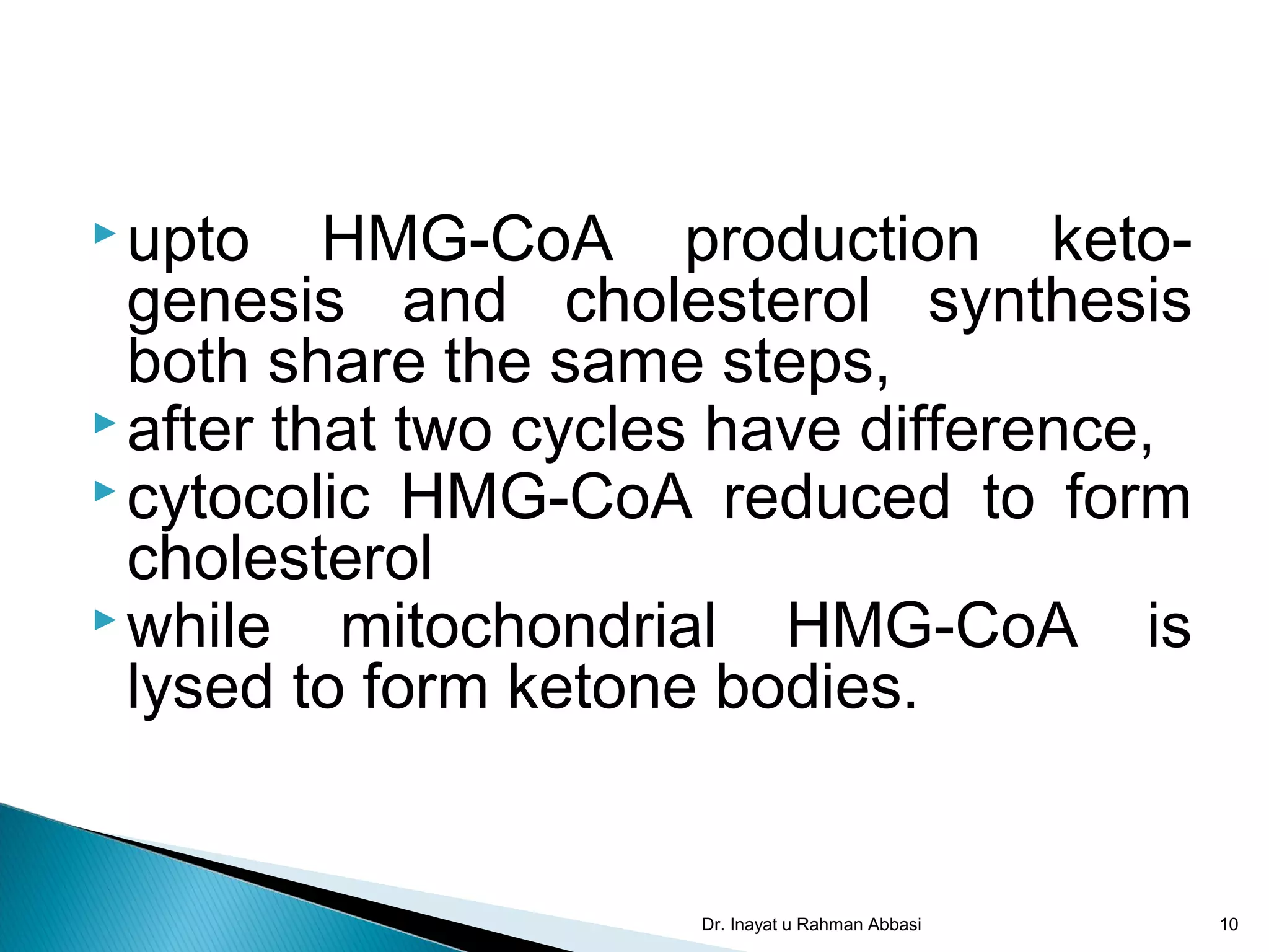 Ketogenesis | PPT