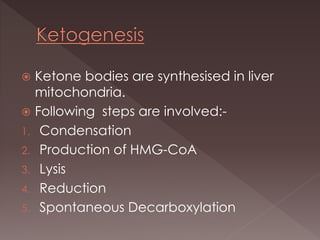 Ketogenesis | PDF