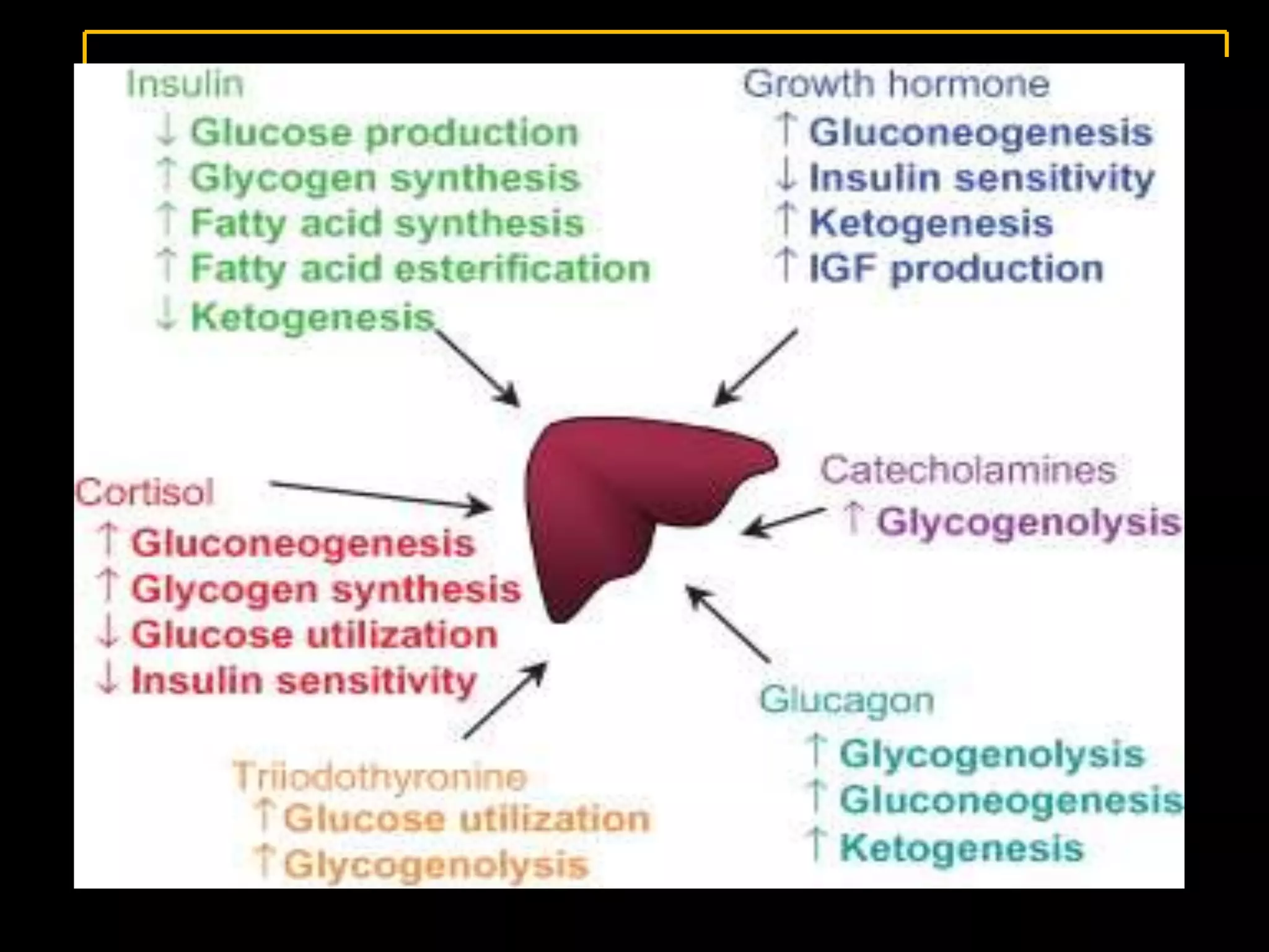 Ketogenesis and ketolysis | PPTX
