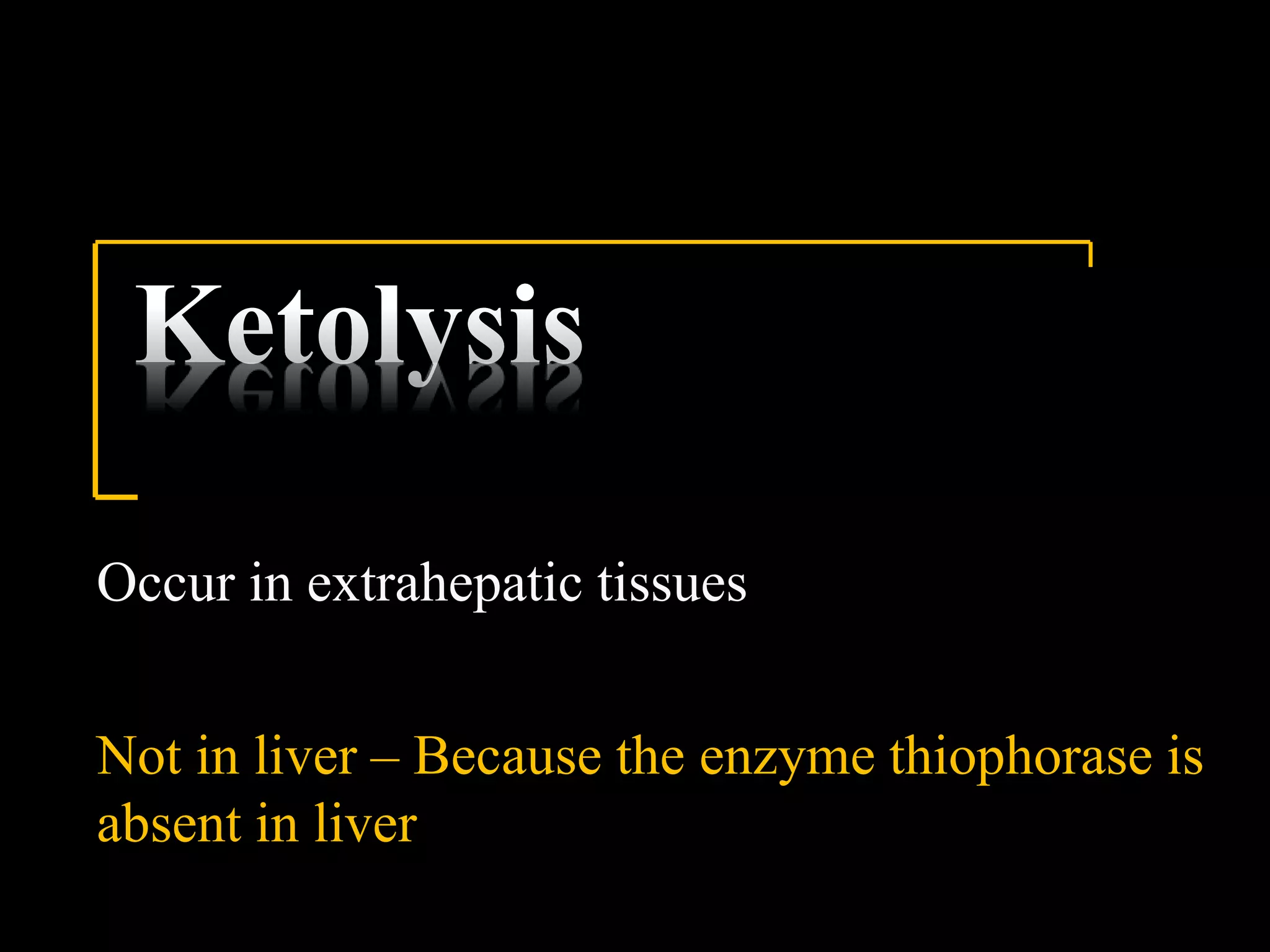 Ketogenesis and ketolysis | PPTX
