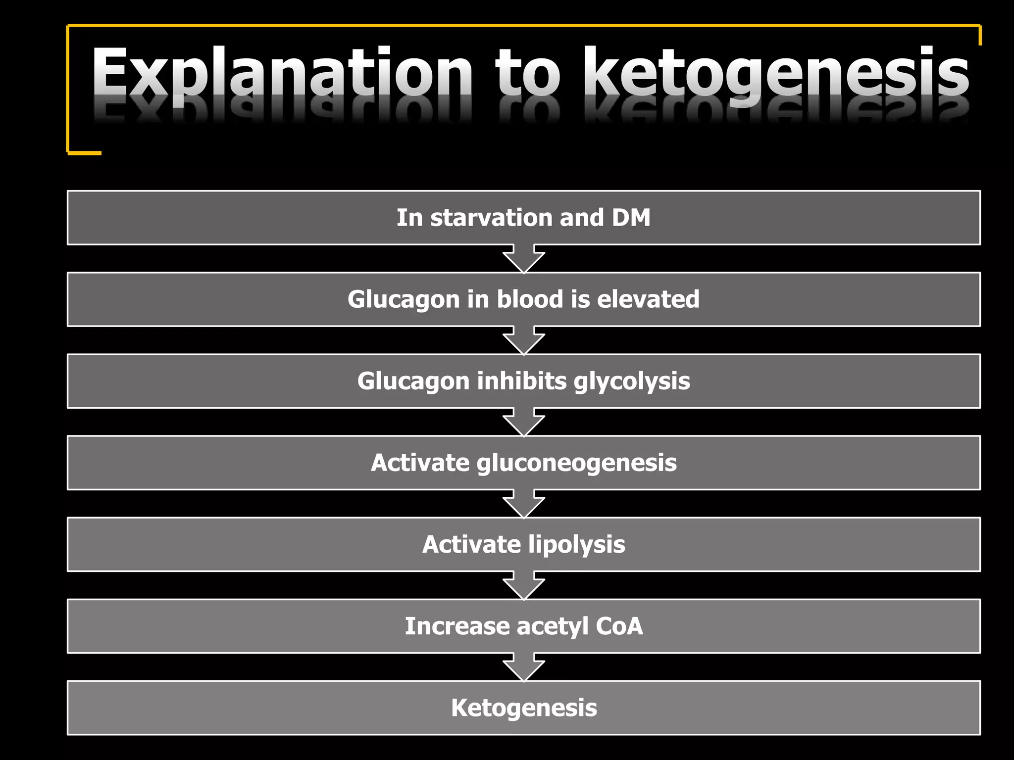 Ketogenesis and ketolysis | PPTX