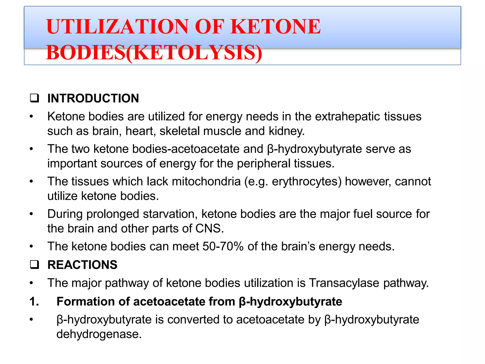 ketogenesis and utilisation of ketone bodies.pptx