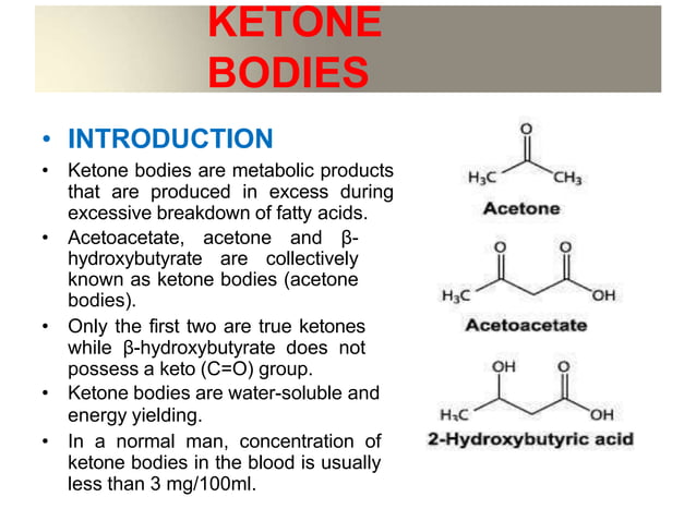 ketogenesis and utilisation of ketone bodies.pptx | Endocrine and ...
