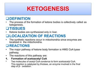 ketogenesis and utilisation of ketone bodies.pptx | Endocrine and ...