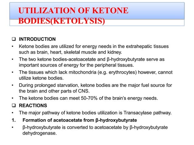 ketogenesis and utilisation of ketone bodies.pptx | Endocrine and ...