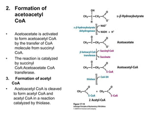 ketogenesis and utilisation of ketone bodies.pptx