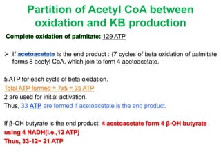 Ketone bodies | PPTX