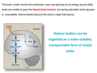 Ketone bodies | PPTX