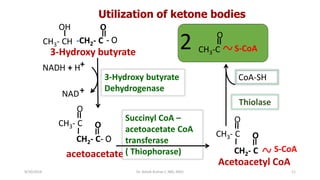 Ketone body Metabolism by Dr Ashok Kumar J | PPTX