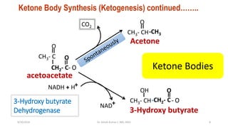 Ketone body Metabolism by Dr Ashok Kumar J | PPTX