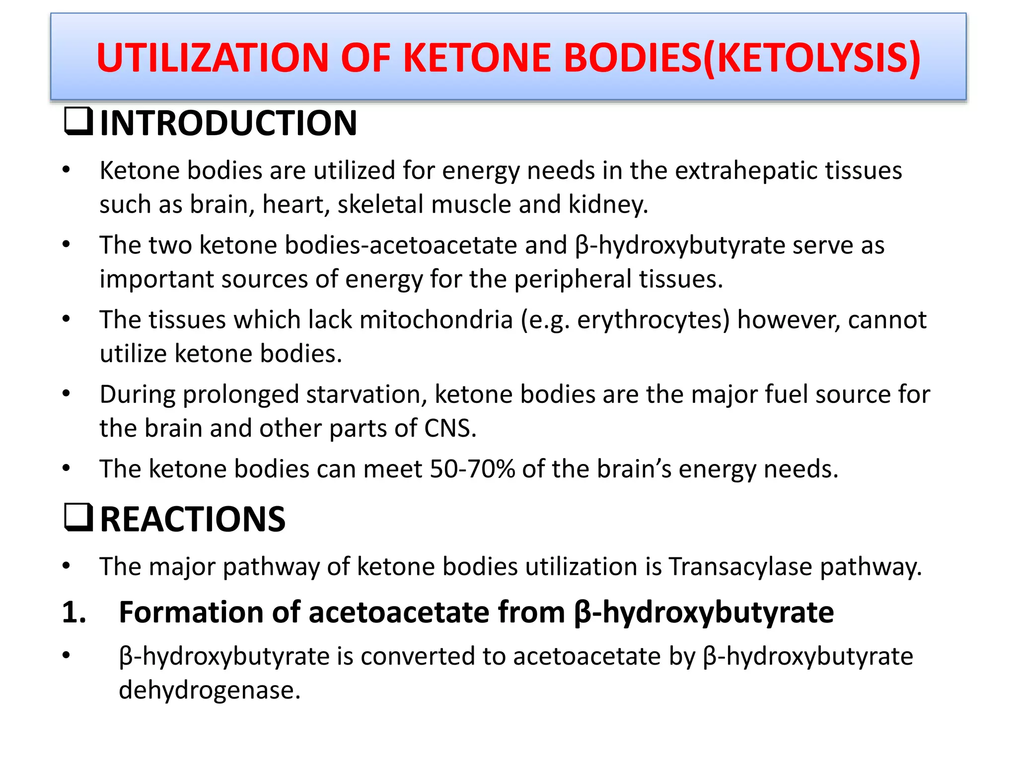Ketone bodies | PPTX