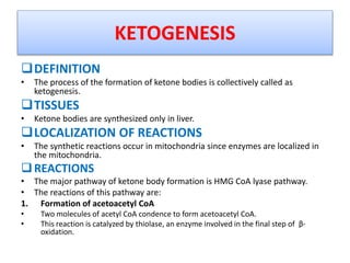 Ketogenesis Steps