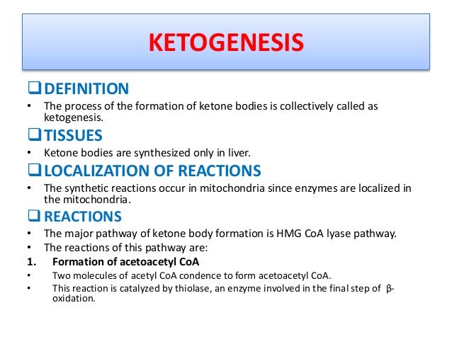 Ketogenesis Steps