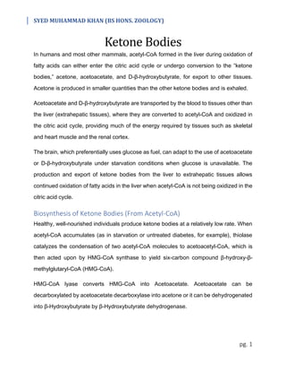Ketone Bodies | PDF