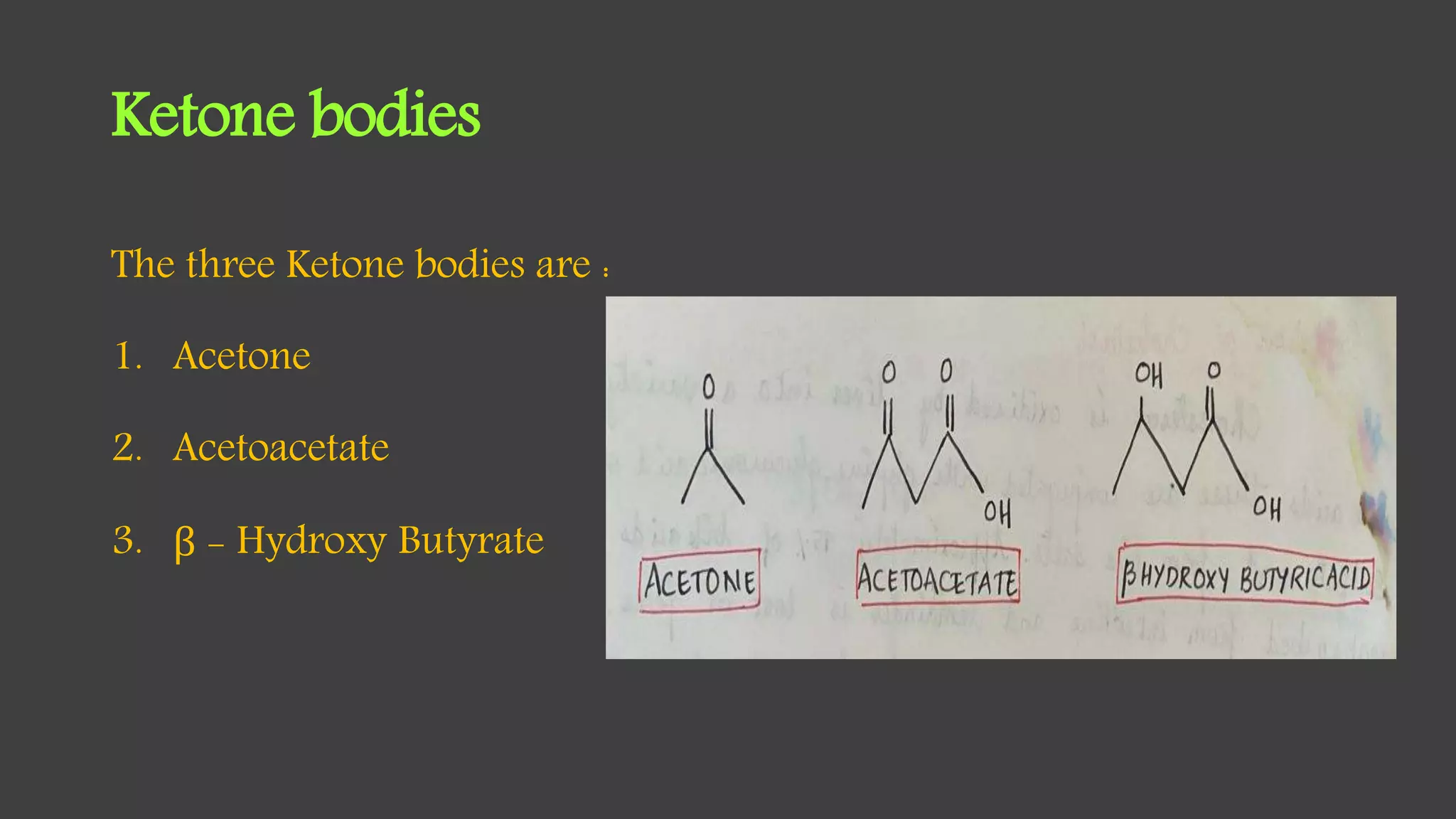 Ketone bodies.pptx