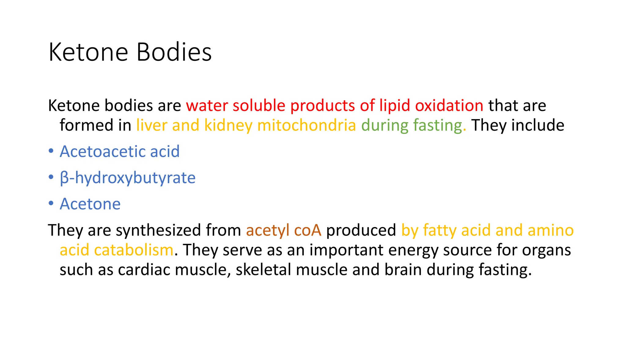 Ketone Bodies.pptx