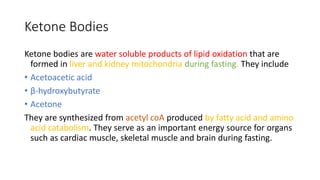 Ketone Bodies.pptx