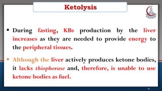 ketone bodies for medical students and paramedicals | PDF