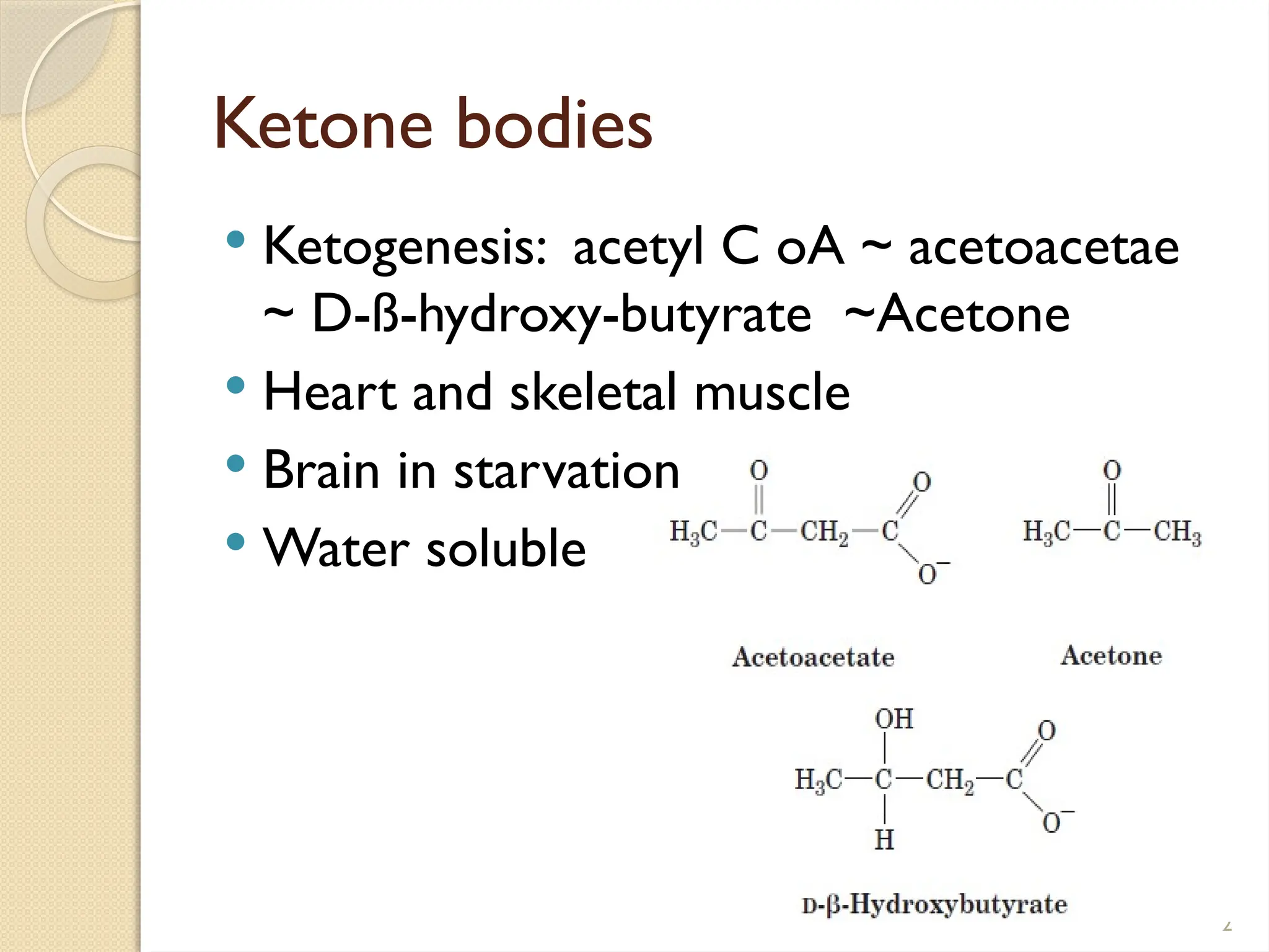 ketone bodies and mechanism of ketone bodies | PPTX
