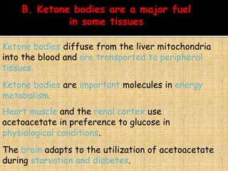 presenatation on ketone bodies | PPTX