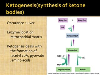 presenatation on ketone bodies | PPTX