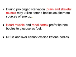 Ketone Bodies (1).pptx
