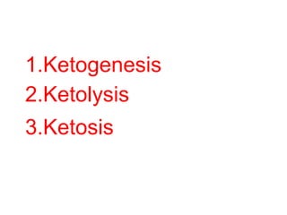 Ketone Bodies (1).pptx