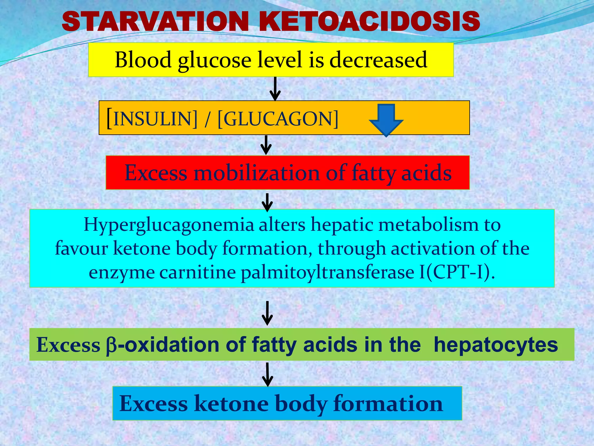 Ketone body metabolism | PPTX