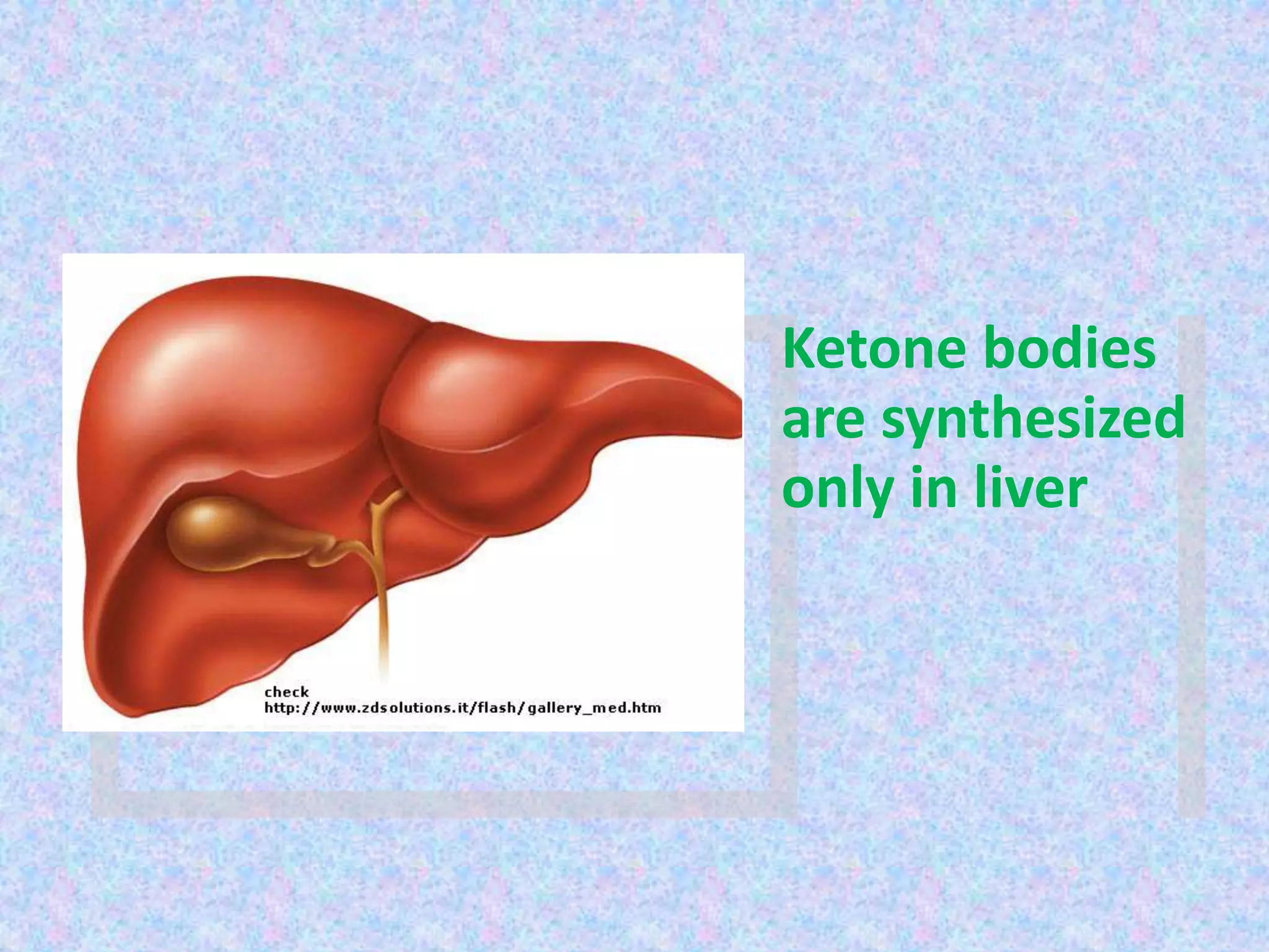 Ketone body metabolism | PPTX