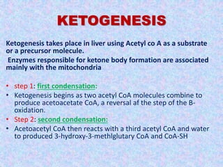 Ketone body metabolism | PPTX