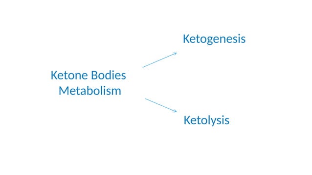 Introduction to Ketone bodies Metabolism.pptx