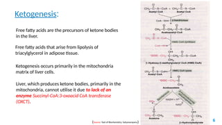 Introduction to Ketone bodies Metabolism.pptx