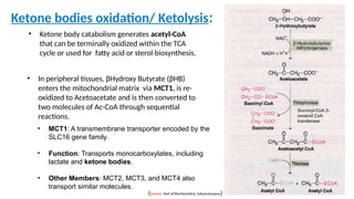 Introduction to Ketone bodies Metabolism.pptx