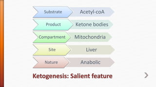 Ketone body Metabolism | PPTX