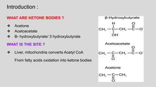 Ketone body metabolism (ketogenesis & ketolysis)in detail .pdf