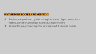 Ketone body metabolism (ketogenesis & ketolysis)in detail .pdf