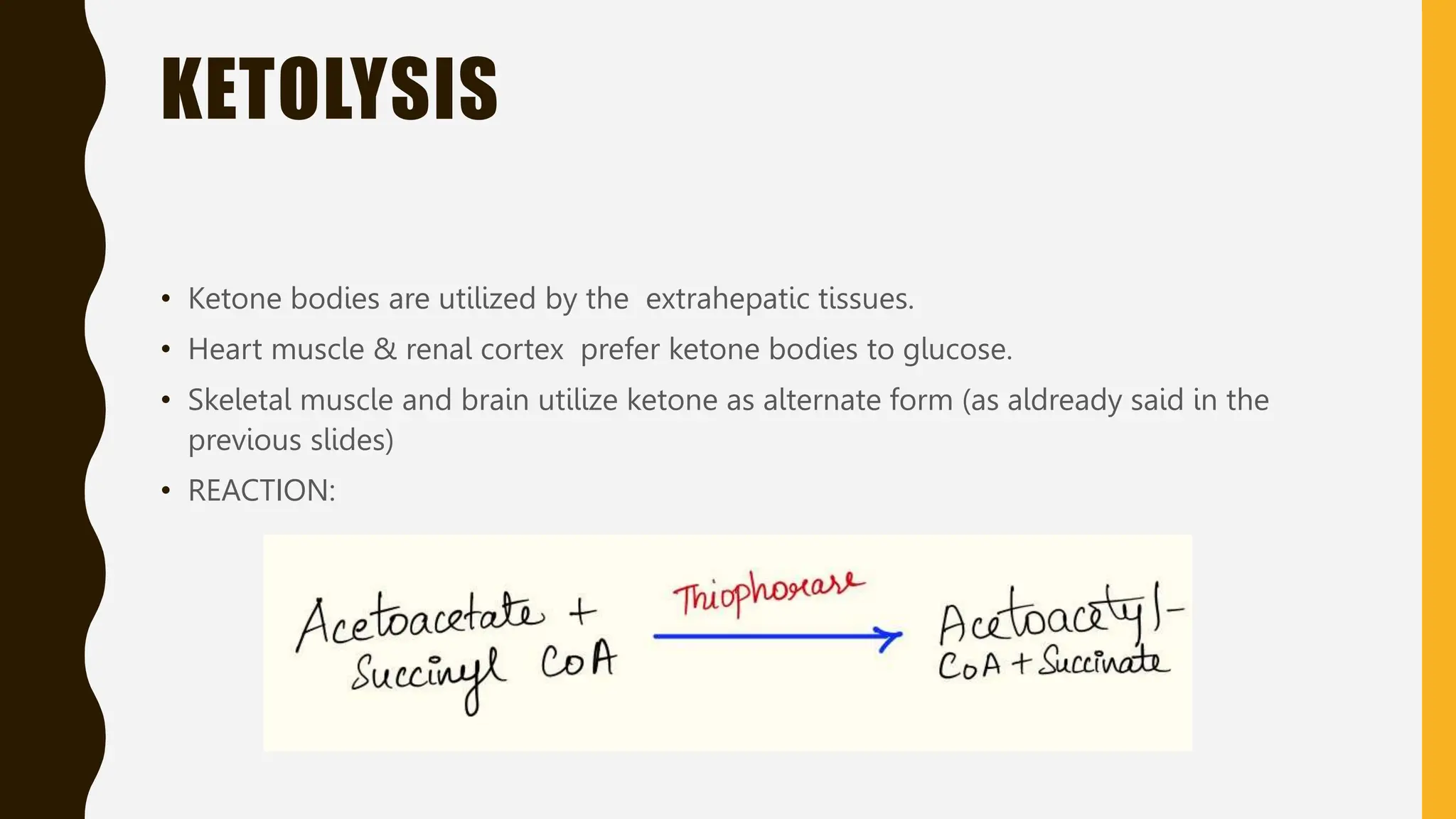 Ketone bodies and metabolism-biochemistry | PPTX
