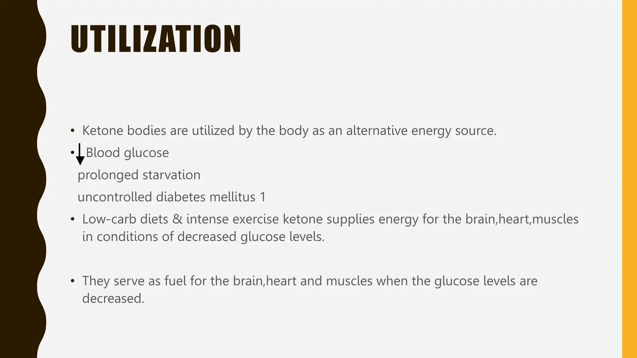 Ketone bodies and metabolism-biochemistry | PPTX