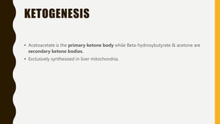 Ketone bodies and metabolism-biochemistry | PPTX