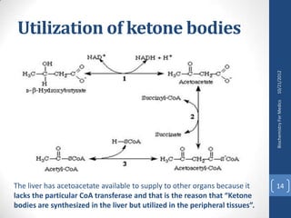 Ketosis- causes and consequences | PPTX