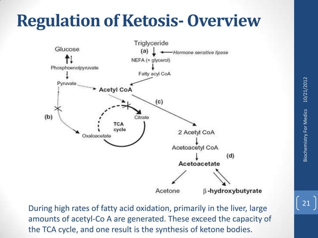 Ketosis- causes and consequences | PPTX | Endocrine and Metabolic ...