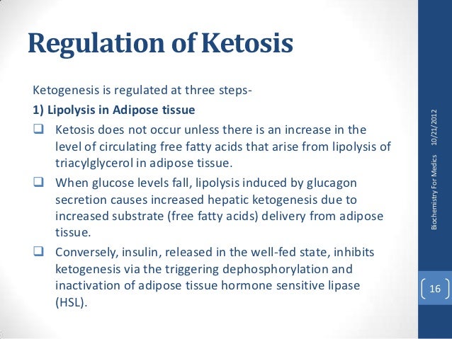 Ketogenesis Steps