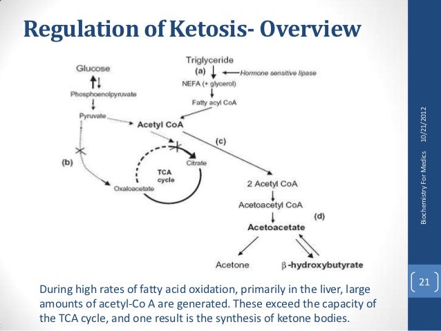 Ketosis- causes and consequences