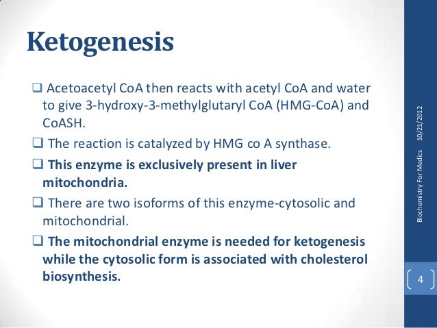 Ketogenesis Steps