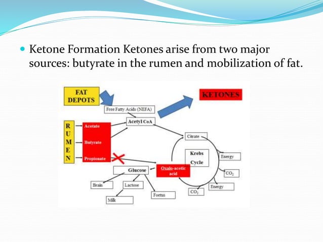 Ketosis | PPTX