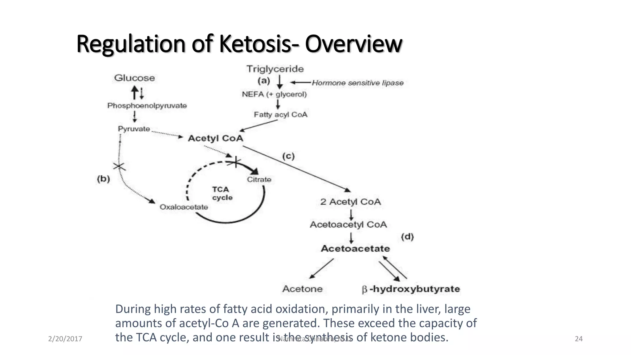 Ketosis a quick revision | PPTX